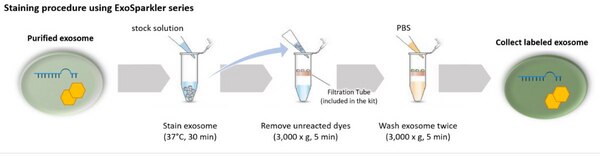 BioTracker™ Red Exosome Protein Labeling Kit | SCT269